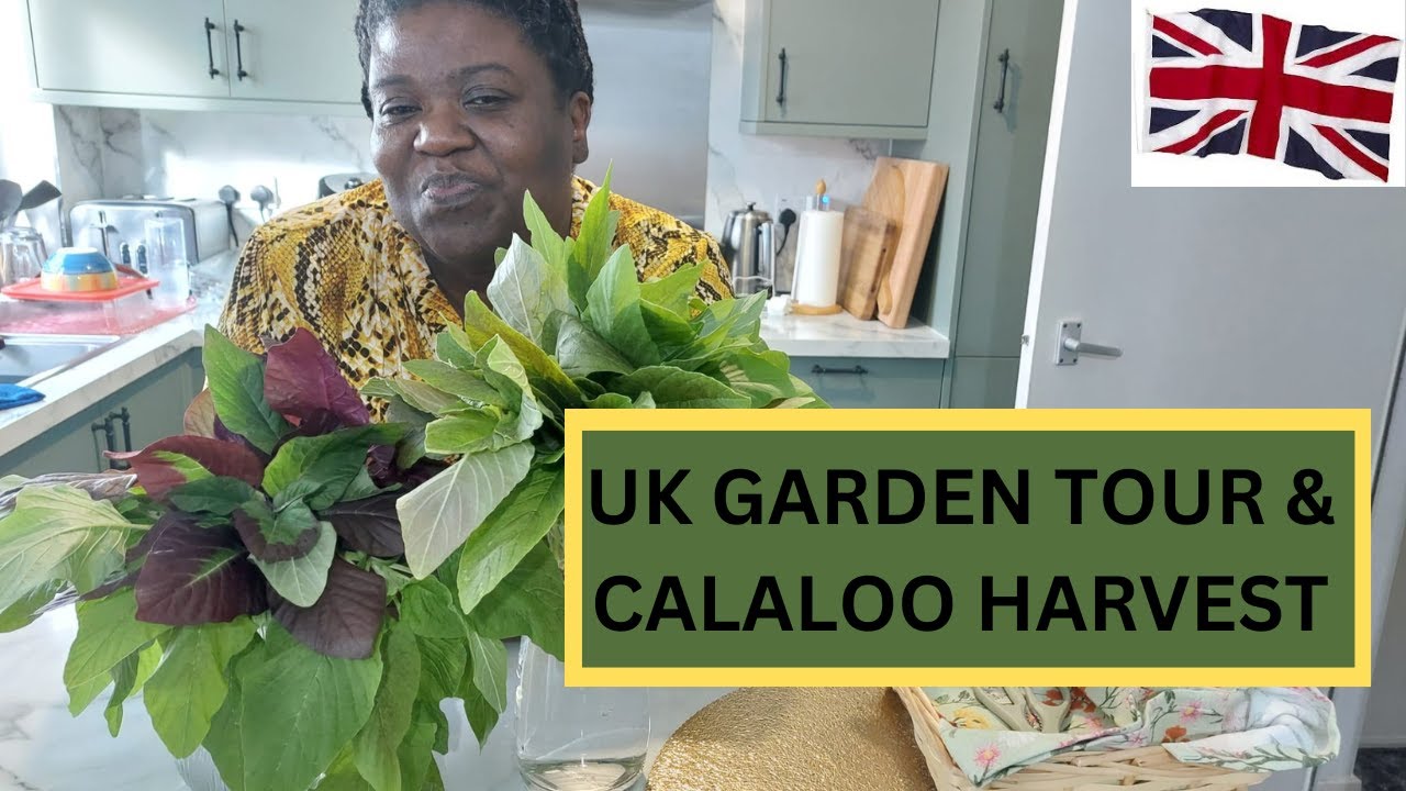 UK Garden tour and reaping calaloo - YouTube
