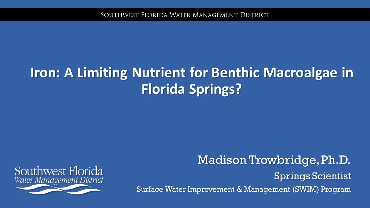 "Iron: A Limiting Nutrient for Benthic Macroalgae in Florida Springs ...
