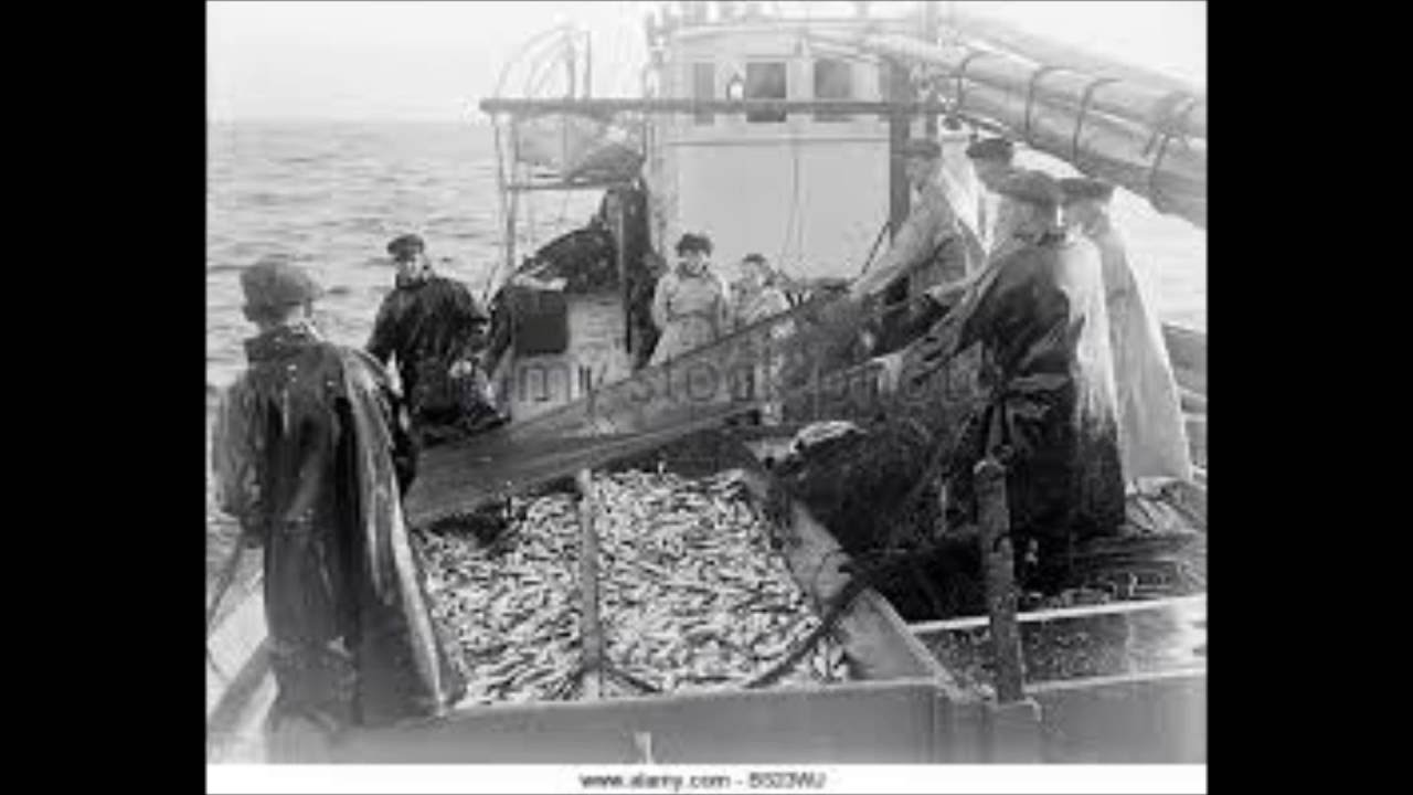 Shoals Of Herring - DIRTY DUNTON STREET BAND - YouTube