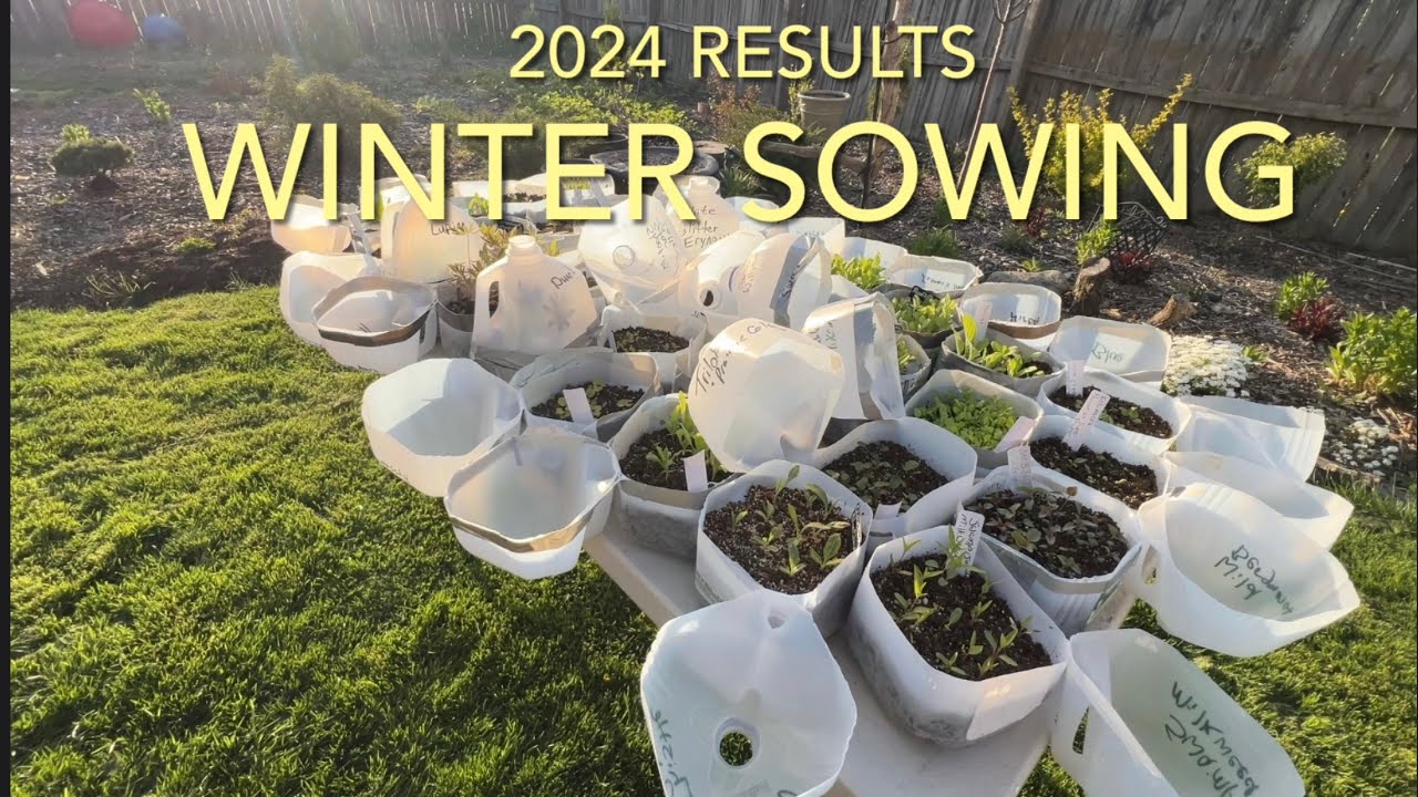 Winter Sowing Results 2024 Part One! - YouTube