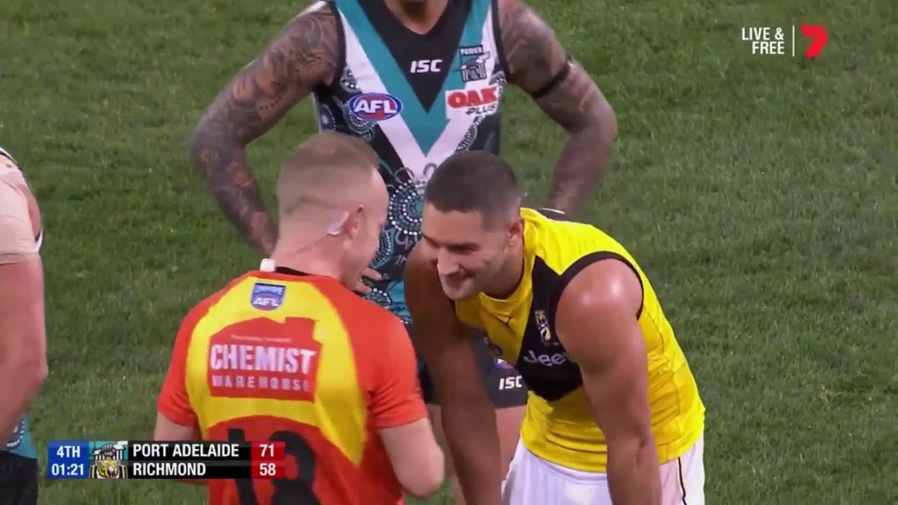 Razor Ray "You Need to Calm Down" (ft Taylor Swift) - YouTube