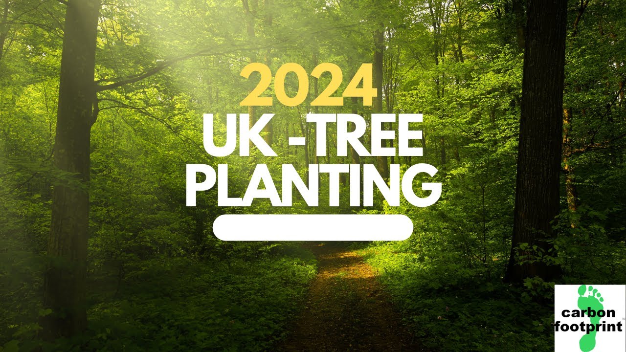 2024 - UK Tree Planting Review - YouTube