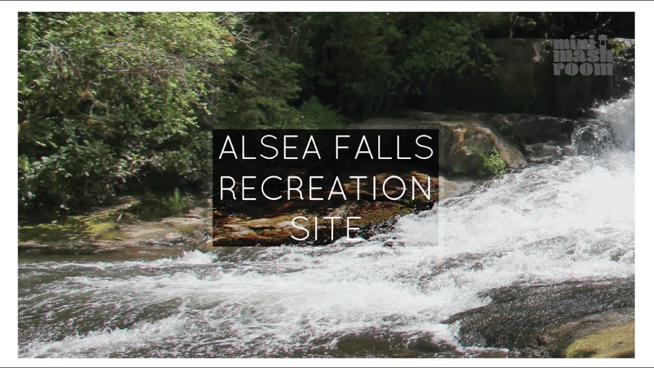 Alsea Falls Recreation Site (Oregon) - YouTube