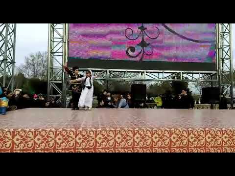 Buta Reqs Ansambli | Bayram Reqsi