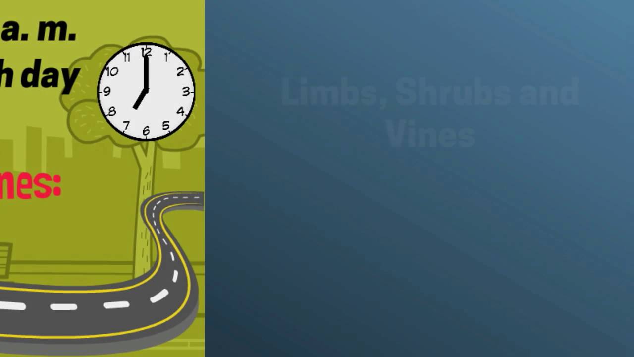 Bountiful City Fall Clean Up - YouTube