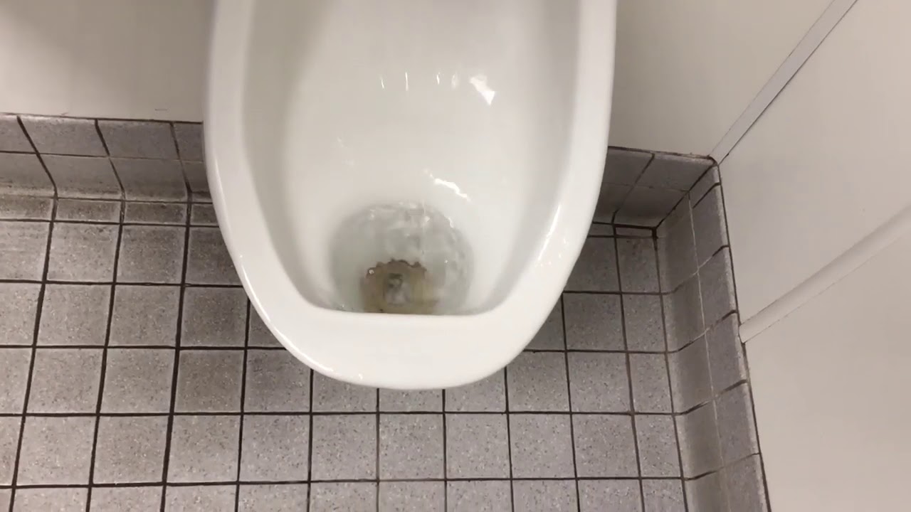 1,874. Ross Dress for Less Men's Restroom - YouTube