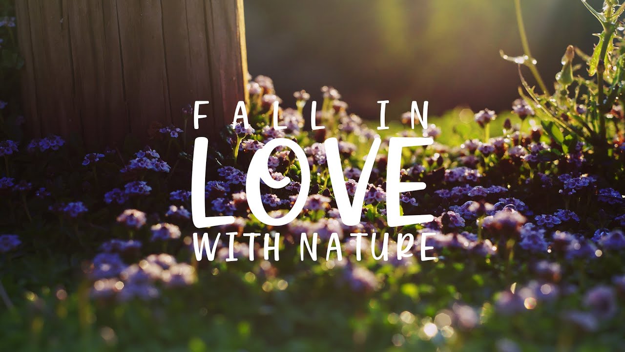 Fall in love with nature | Beautiful Relaxing Music with Beautiful ...