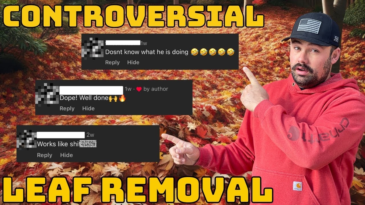 Leaf Removal Controversy - Why I Choose a MOWING over a leaf blower ...