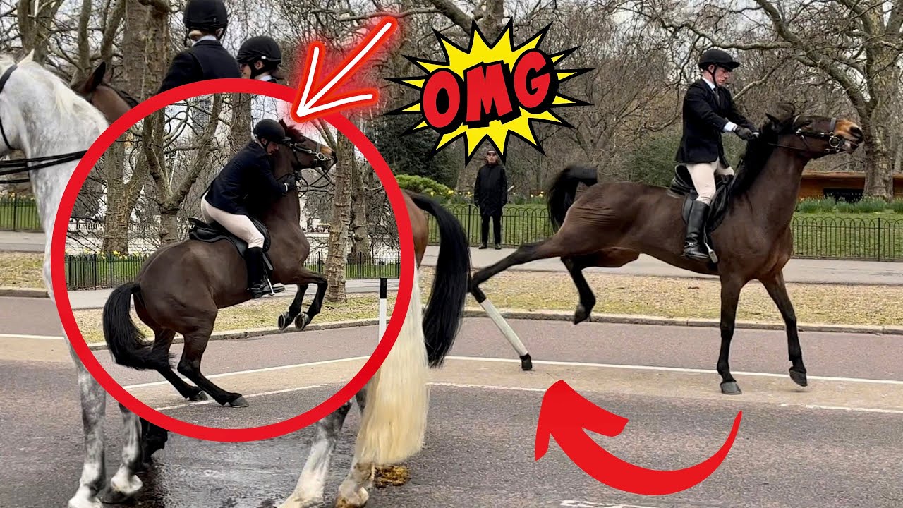 Spooked Horse Tries To Flip Rider And Kicks Pole! - YouTube