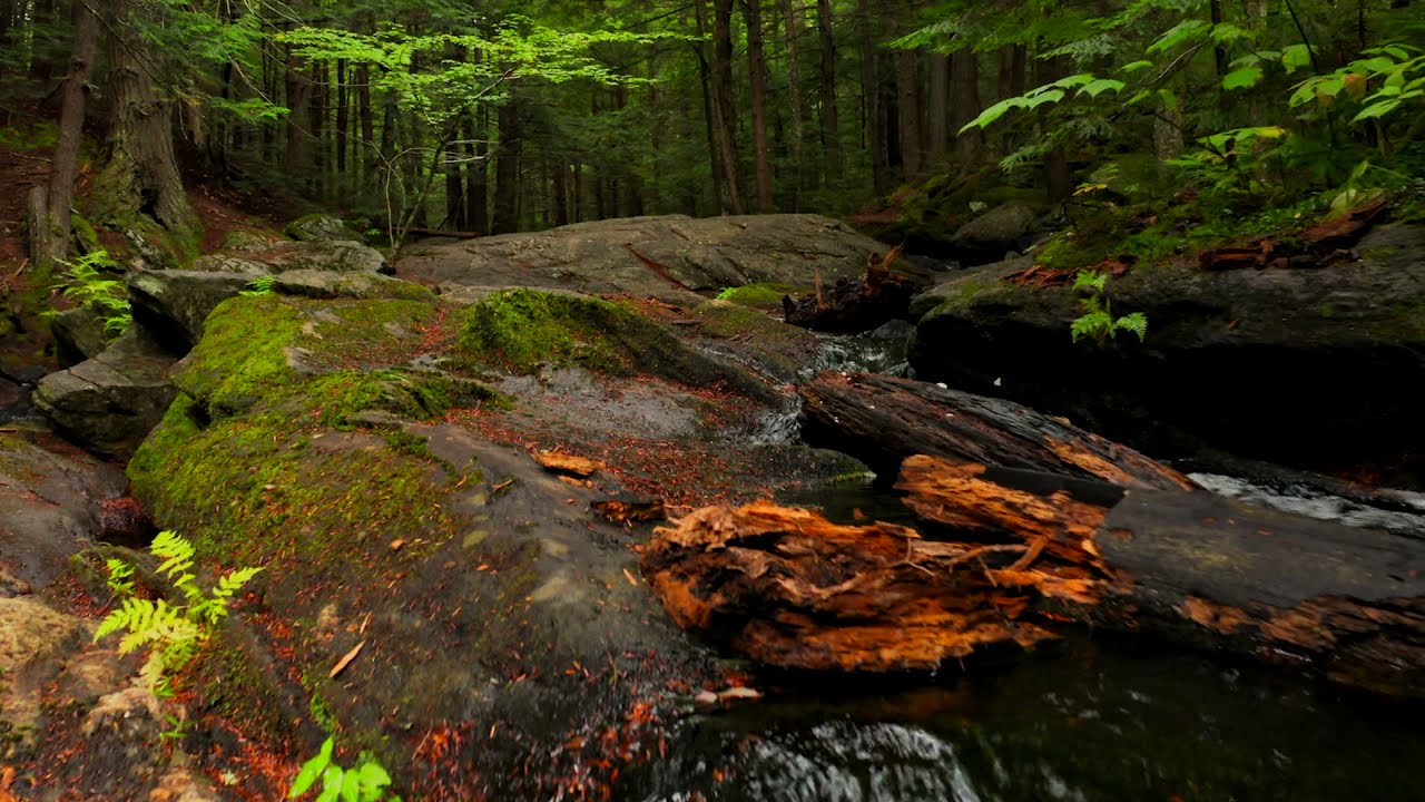 Love is the Touch of Intangible Joy - YouTube