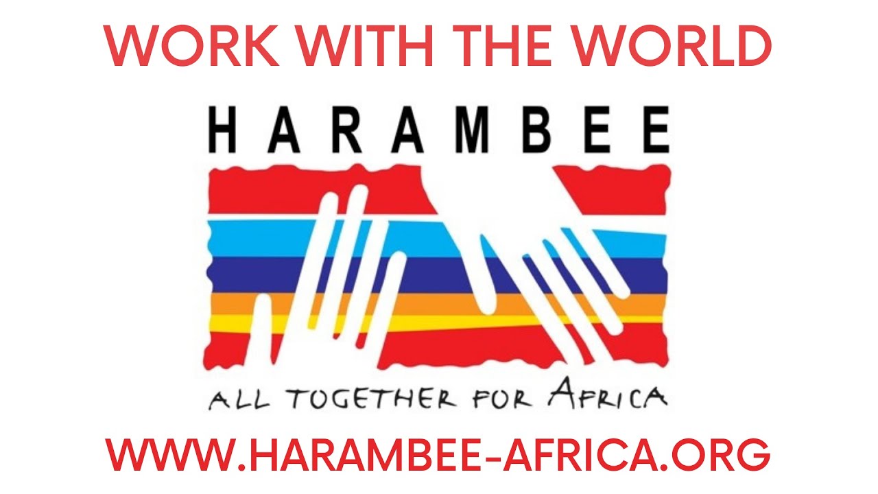 Work with the World: Harambee Professionals - YouTube