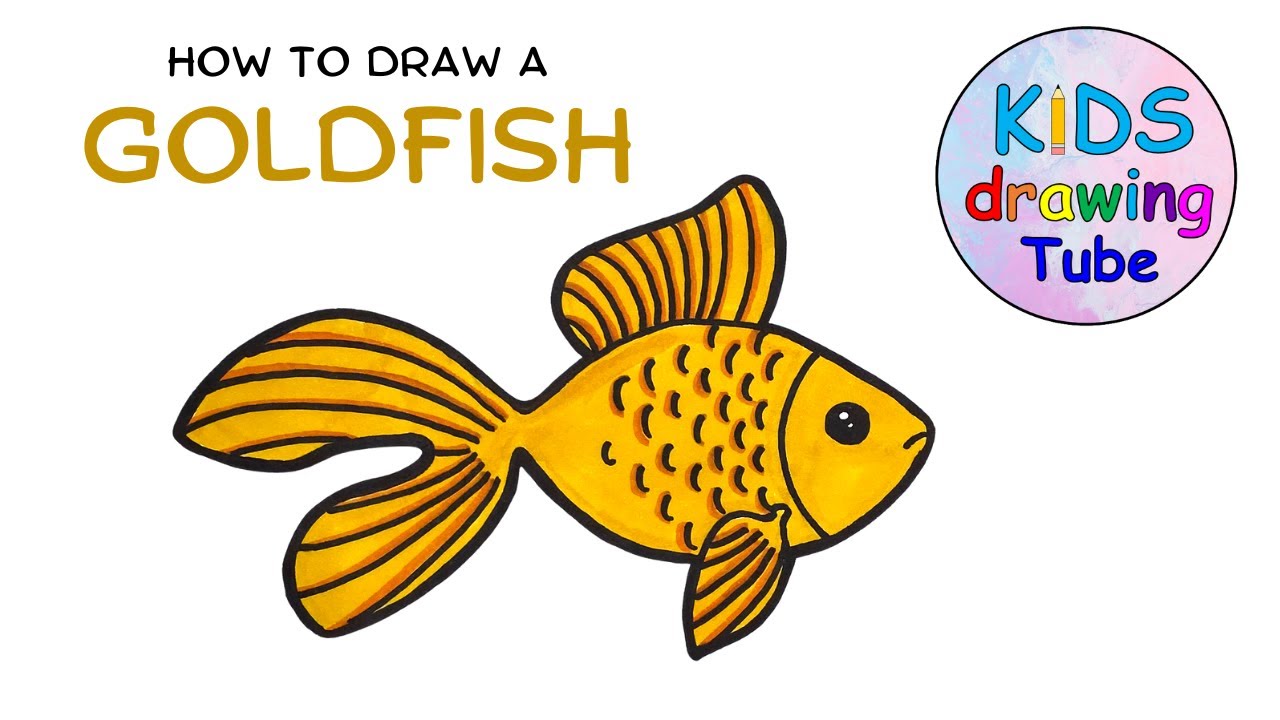 DRAWING FOR KIDS - How to draw a Goldfish - Easy - YouTube
