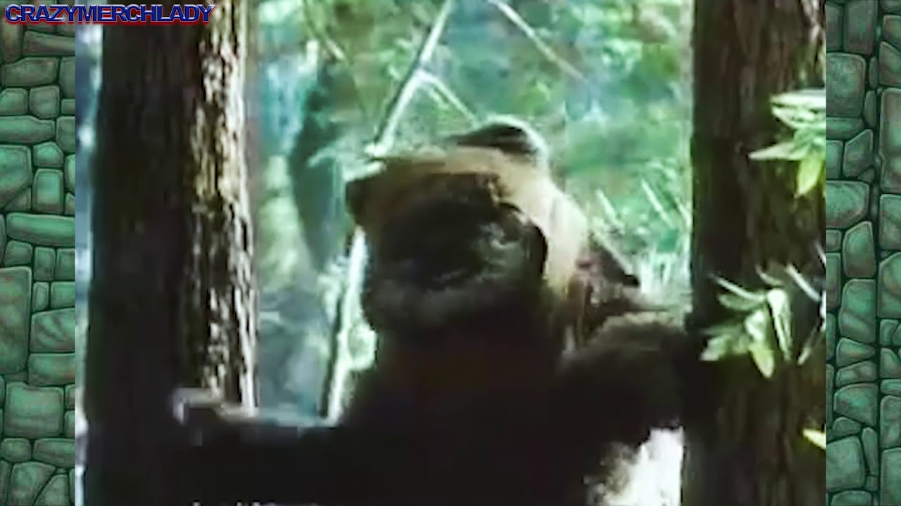 Star Wars: The Ewok Adventure - english - YouTube