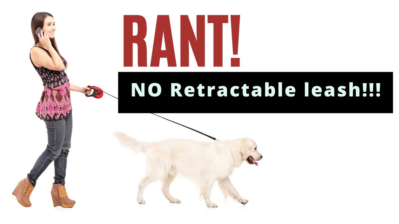 RANT: NO MORE Retractable Stretch Leashes!!! - YouTube