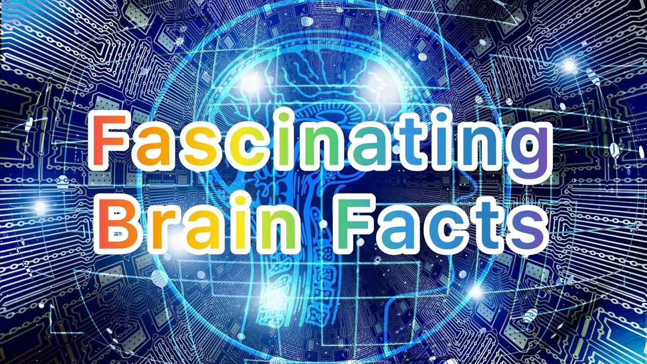 Fascinating Brain Facts Revealed!!!!!!! - YouTube