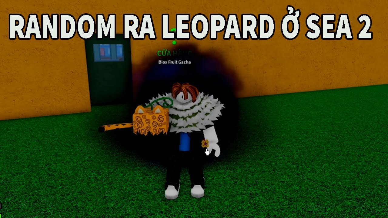 Mình Đã Random Ra Trái Leopard Ở Sea 2 Trong Blox Fruits - YouTube