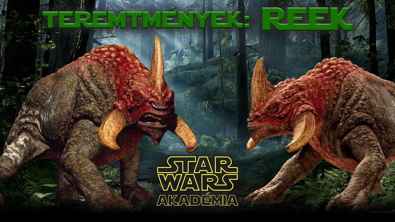 Teremtmények: Reek | Star Wars Akadémia - YouTube
