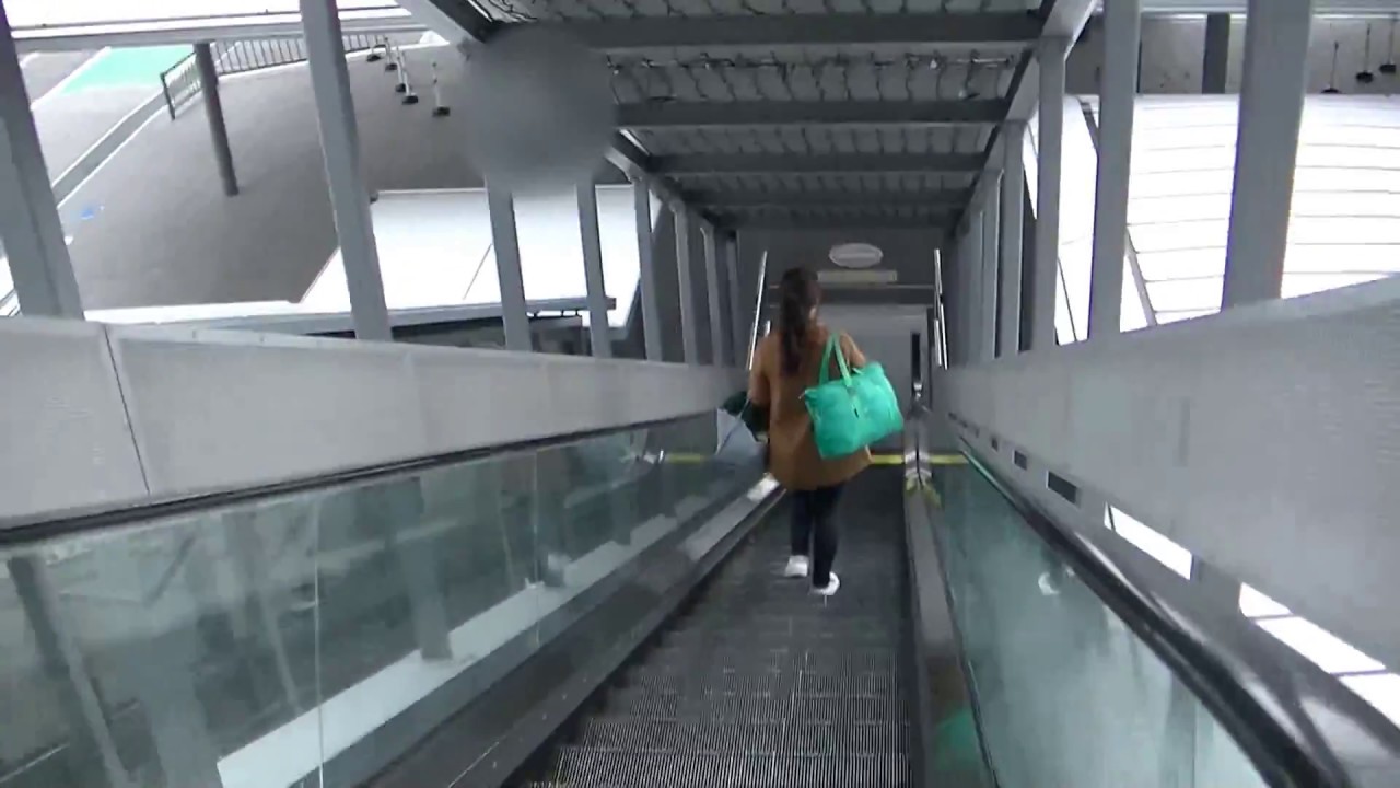 Kansai International Airport!!Free Shuttle Bus Stop!!From Terminal 1 to ...