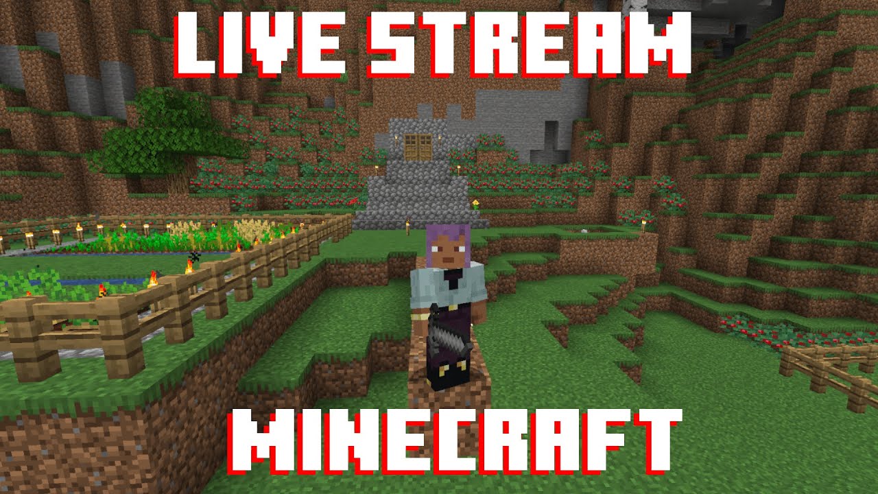 Minecraft Live Stream - YouTube