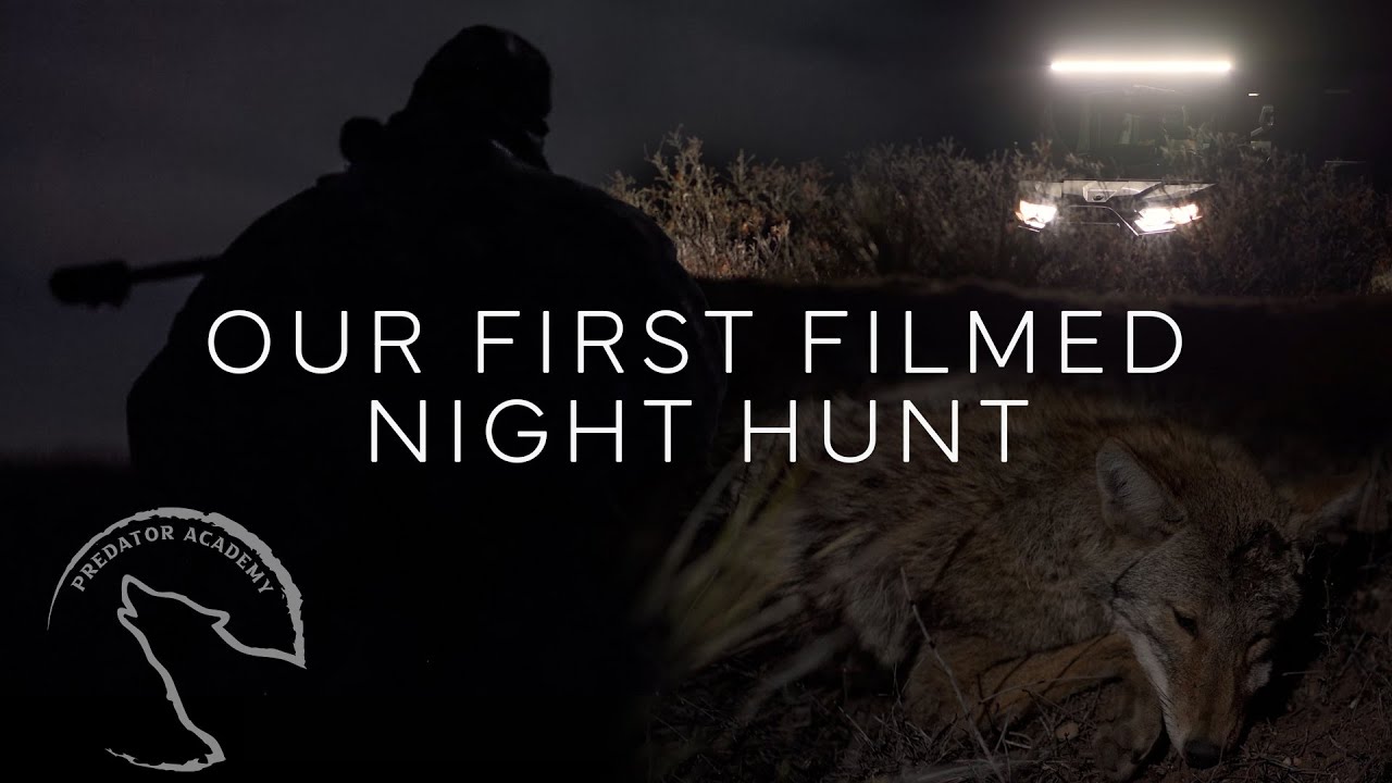 Night Coyote Hunt with Predator Academy - Test run in Texas - YouTube