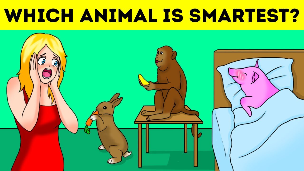 11 BRAIN TEASERS WITH ANSWERS TO HELP YOU THINK BETTER - YouTube