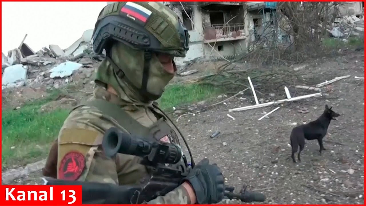 City of ruins and abandoned dogs: Russian media report from Bakhmut ...