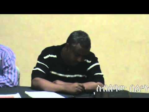 Demeke Mekonen tried to sell Meles Zenawi's idea in giving away 1,600 ...