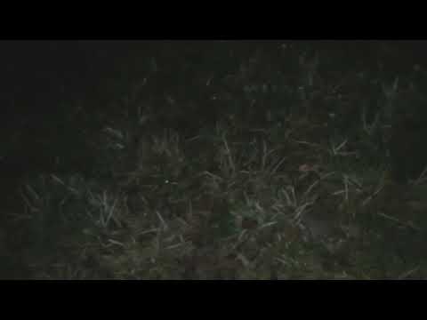 Aubrey Key - Candy (Music Video)