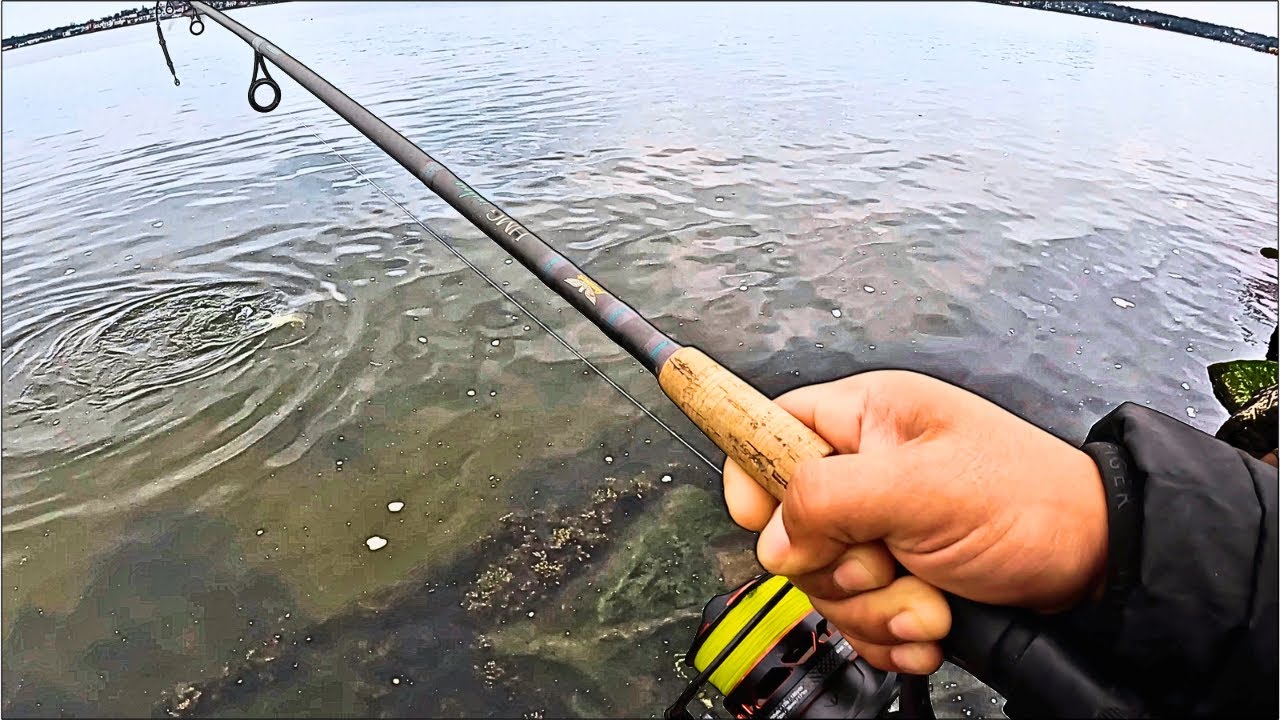 First Striped Bass of 2024! - YouTube