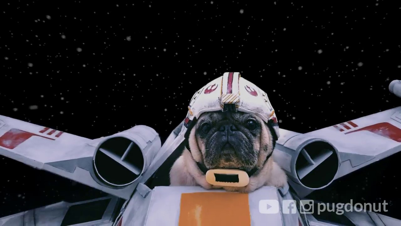 Pug Flies X-Wing Through Galaxy (5 Hours) - YouTube