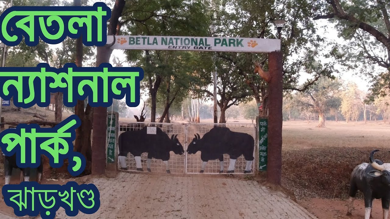 Betla National Park | Betla Forest, Jharkhand | বেতলা ন্যাশনাল পার্ক ...