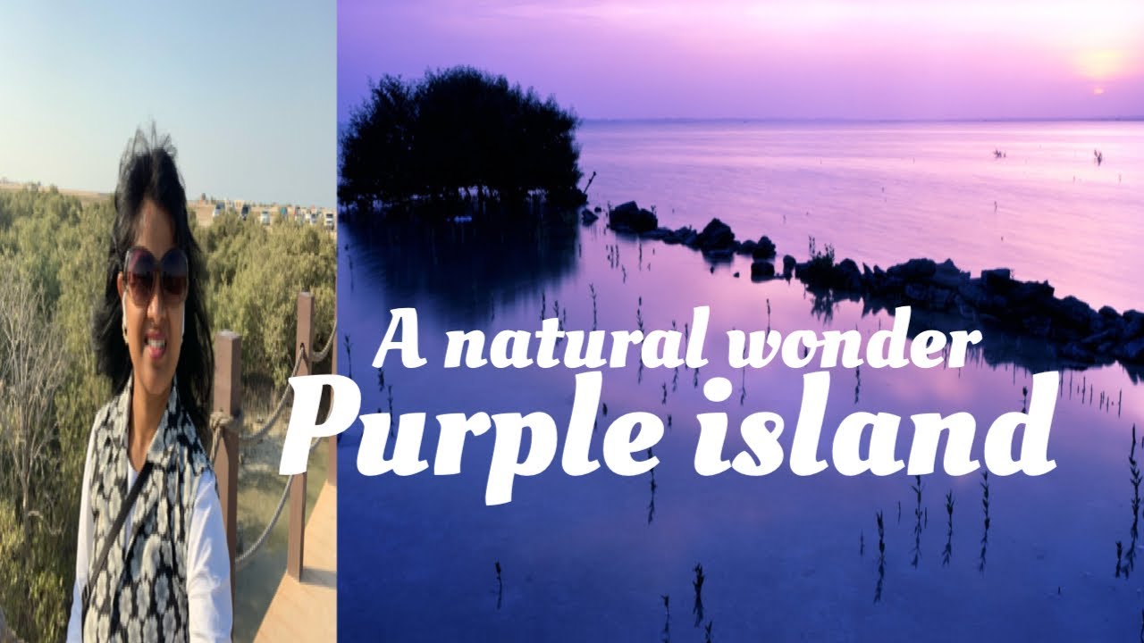 ଓଡିଆ ଝିଅ Purple island visit in Qatar 🇶🇦 |Natural wonder PURPLE ISLAND ...