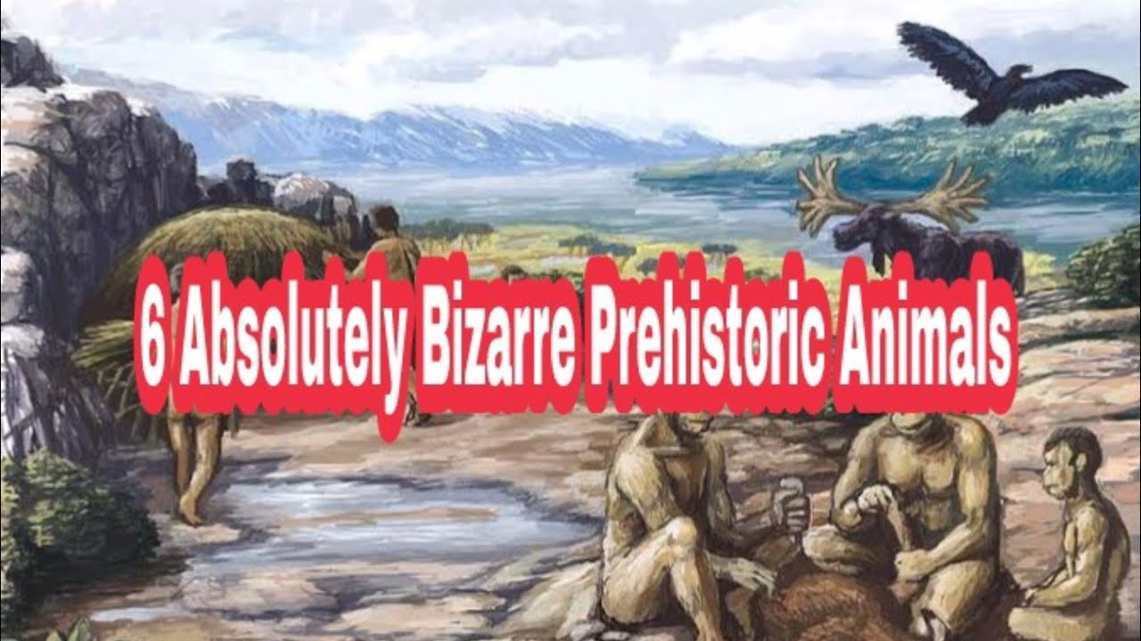 6 Absolutely Bizarre Prehistoric Animals - YouTube