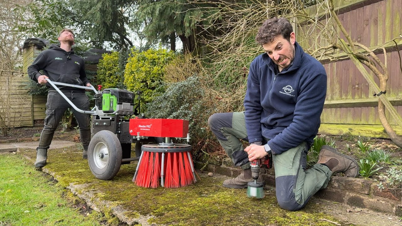 We Found the BEST Tool for Moss Removal – INSANE Results! - YouTube