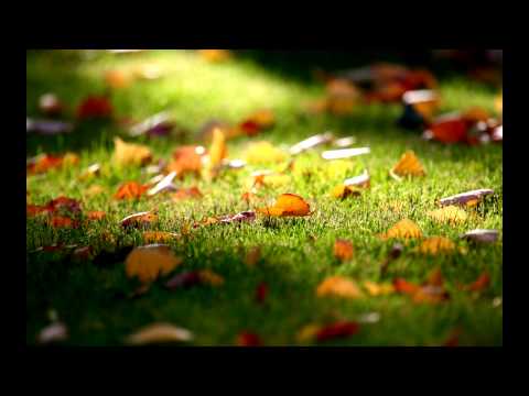 Söyle sevgilim / Kadirhan TÜRKOĞLU