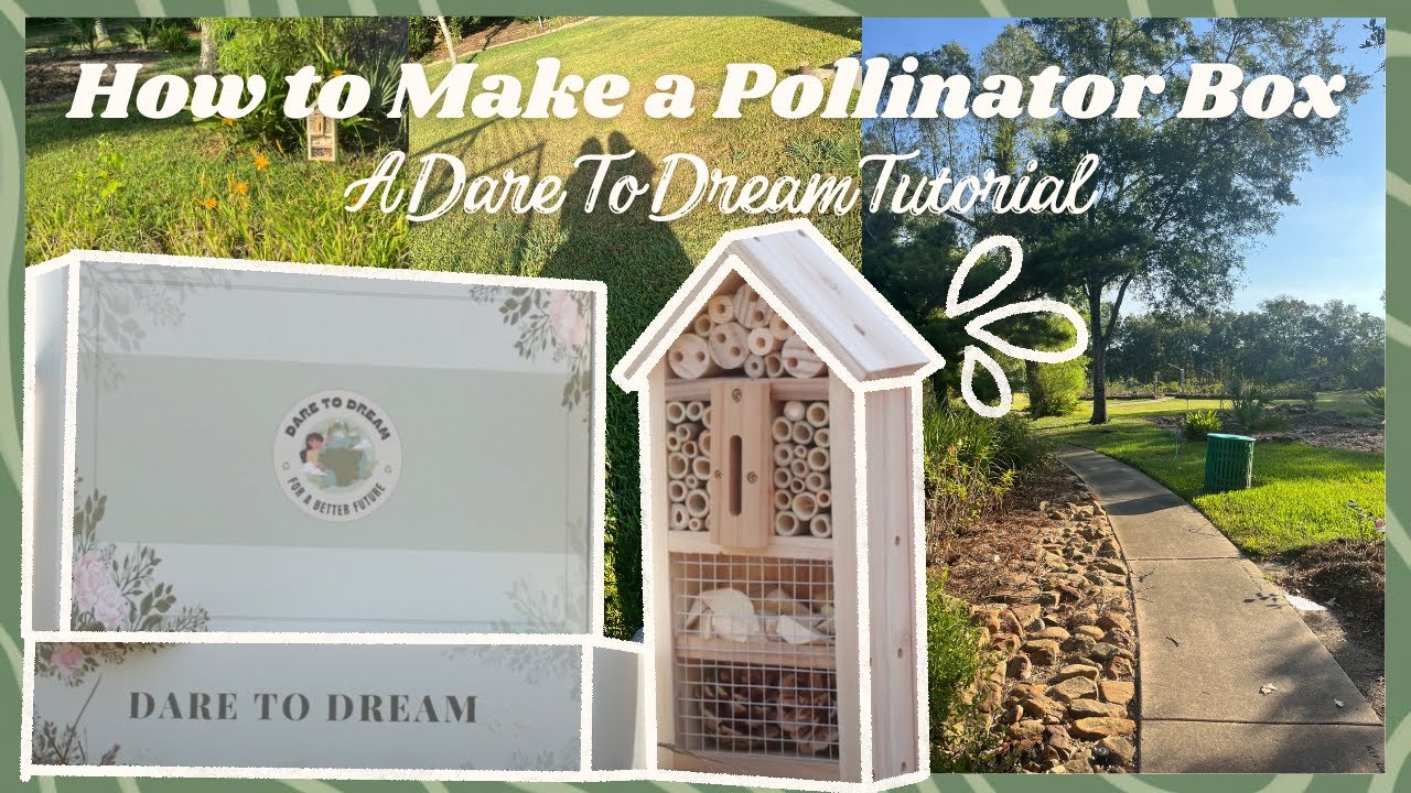 How to Build a Pollinator Box *ೃ༄ - YouTube