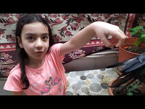 bathing pleasure 🛀🚿😁 Paşa'nın banyo keyfi