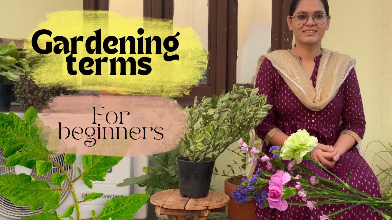 Gardening terms for beginners #gardeningjargons - YouTube