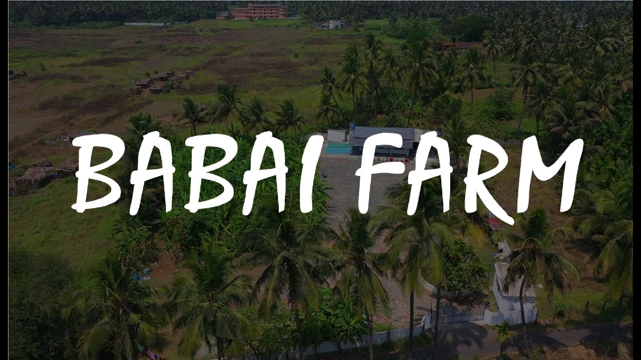 BABAI FARM | NAVAPUR | VIRAR - YouTube