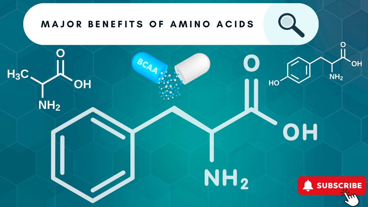 Understanding The Role Of Amino Acids. This Is How They Work! - YouTube