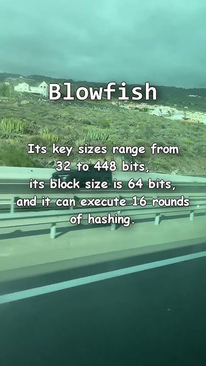 What is Blowfish? Blowfish Explained #security - YouTube