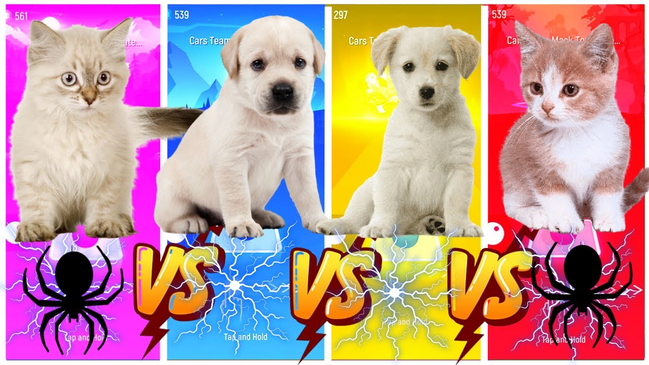 Cute Cats Vs Cute Dogs VS Cute Dogs Vs Cute Cats | Coffin Dance| Tiles ...