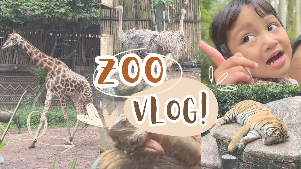 KESERUAN NACHELLE DI BANDUNG ZOO MELIHAT HEWAN HEWAN LUCU - YouTube