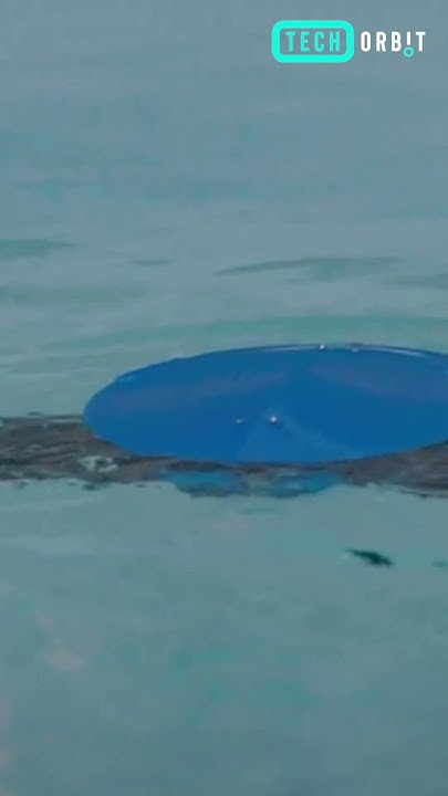 MIT is developing a soft robot that takes its inspiration from sea ...