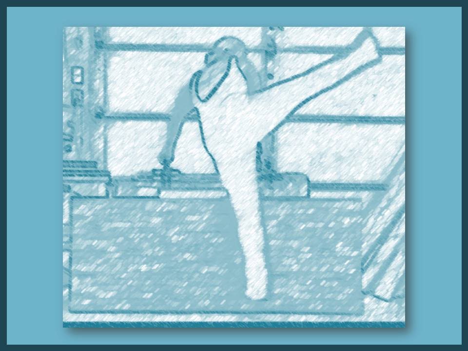 Demonstration on Homemade Gymnastics Equipment - YouTube