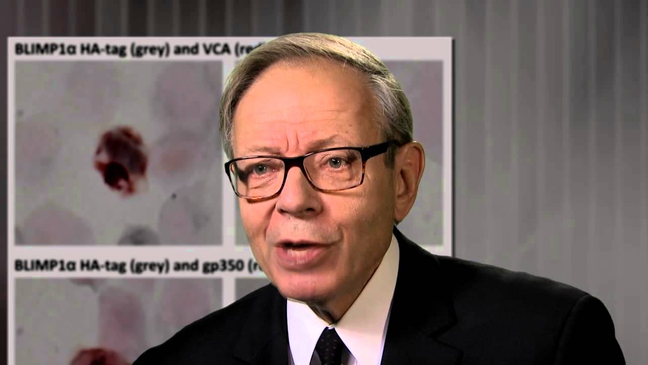 Advances in Hematology: Jacob Rowe, MD - YouTube