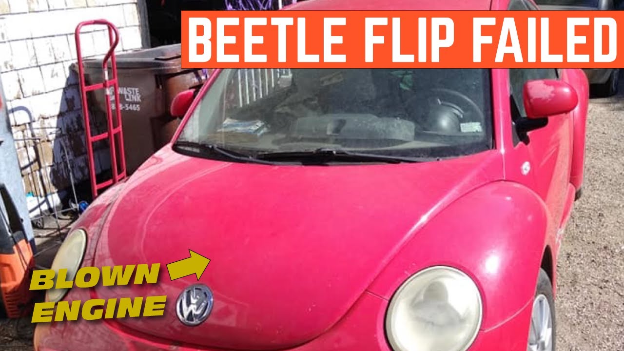 I FAILED At BUYING A VW Beetle FLIP With A BLOWN Engine - YouTube