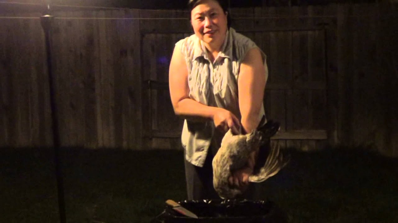 How to killing chicken part,1 如何杀死鸡的一部分， - YouTube
