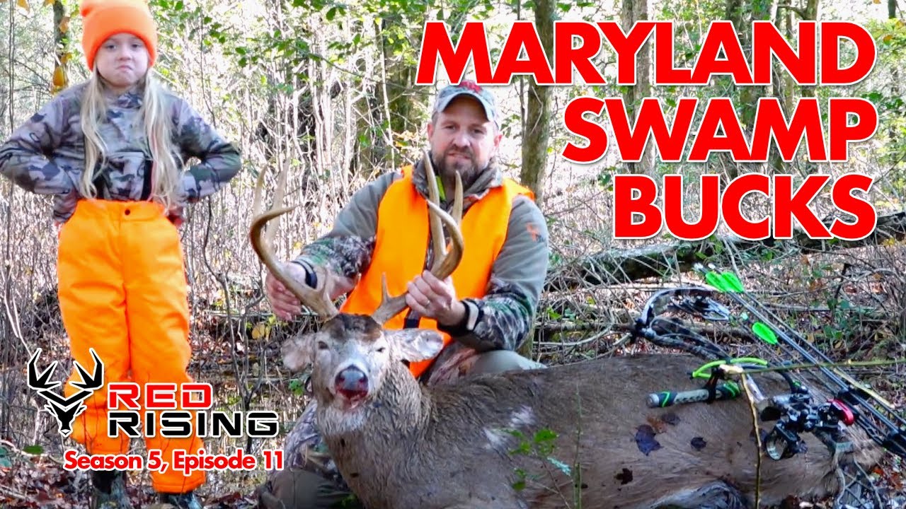 Swamp Bucks of Maryland [FULL EPISODE] RedRisingTV - YouTube