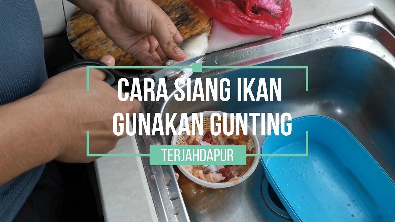 Cara Siang Ikan Guna Gunting Je, Paling Mudah Dan Cepat Ikan Pun Tak ...